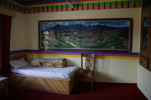 Gaky Hotel in Padum, Book Luxury Hotel Gaky in Padum, Ladakh