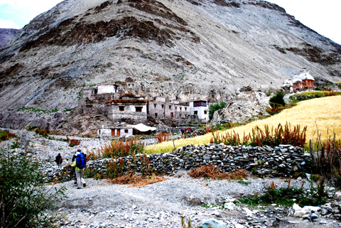 Homestay in Yangthang Village, Ladakh – Prices, Reviews, Photos & Offers